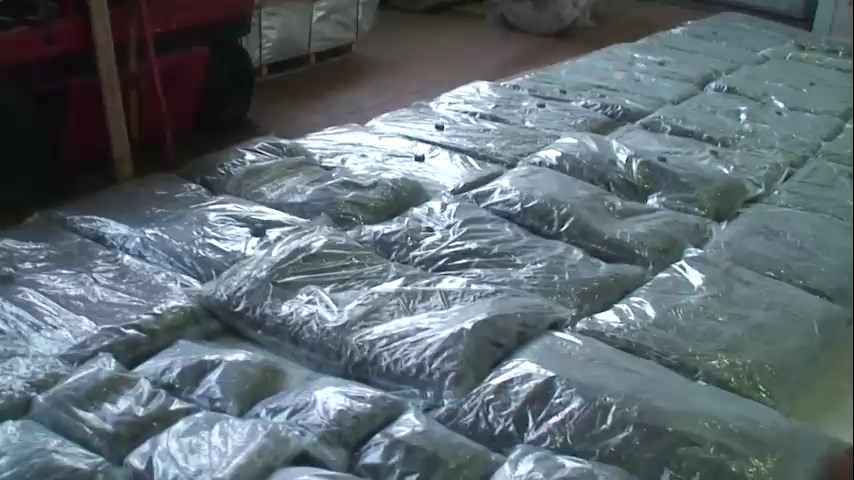 Телевизија 24 Владата усвои нов текст за медицински канабис