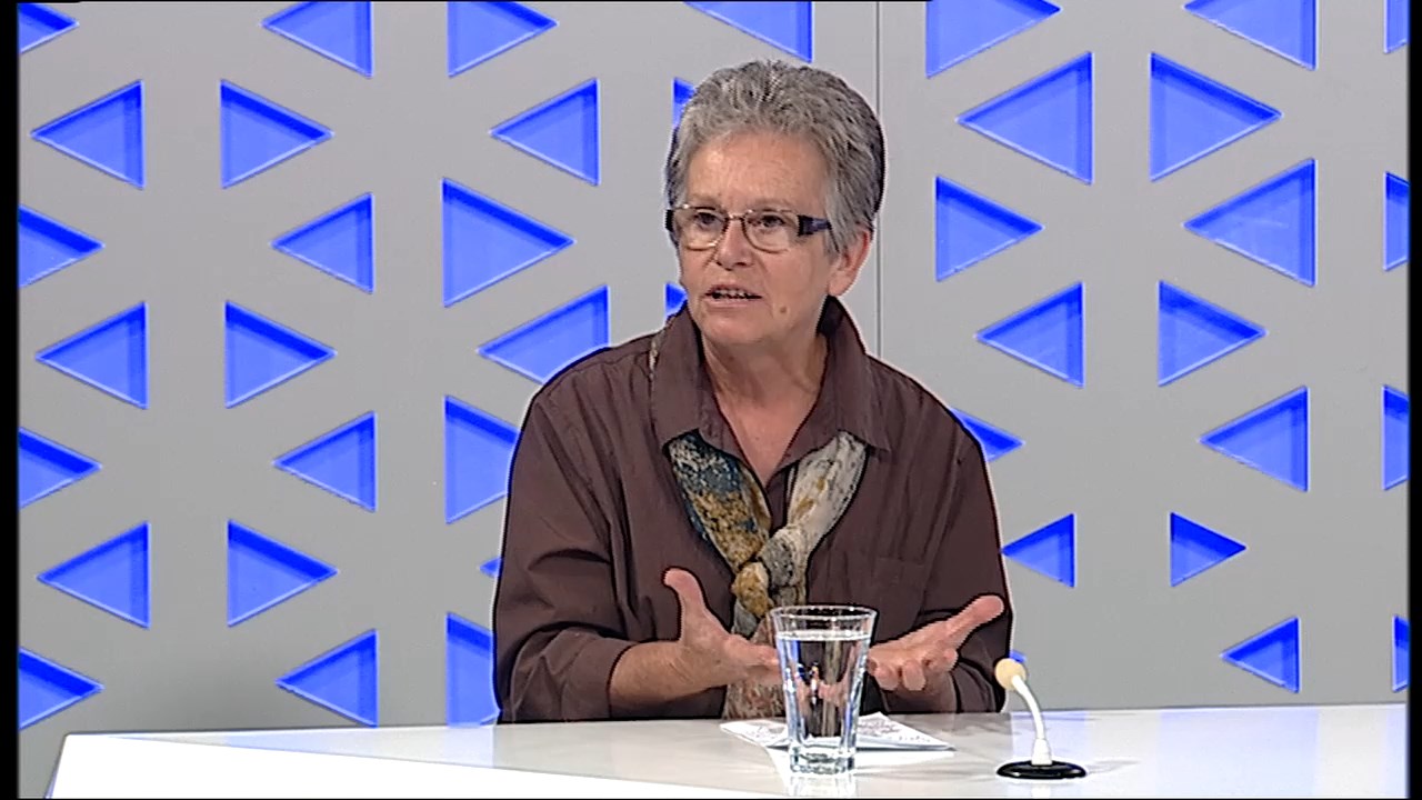 Телевизија 24 Најчевска за ТВ 24 Измените на Кривичниот законик ја