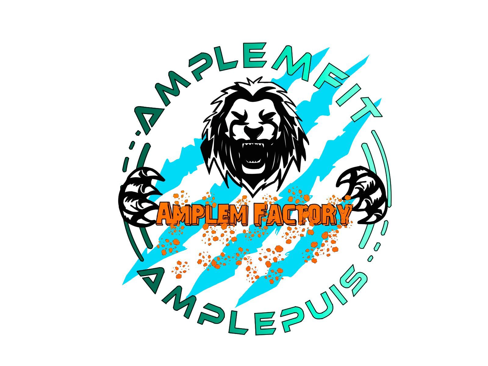 Amplem Factory | Ma Box de Cross