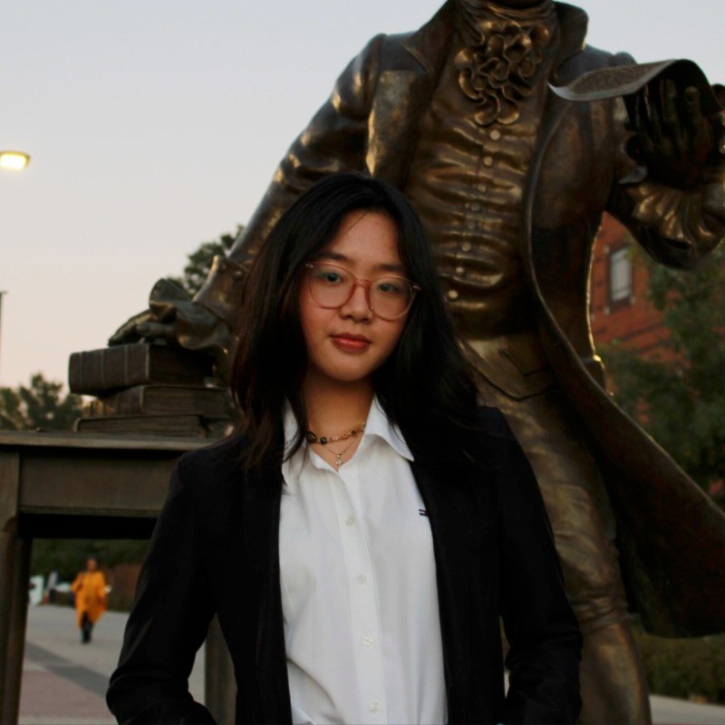 Viet Tech Mentorship Program