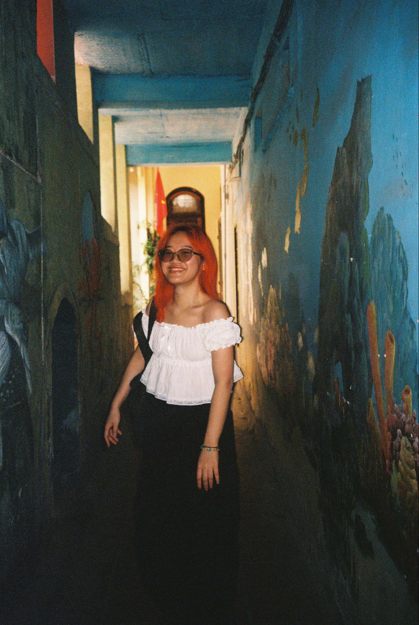 Viet Tech Mentorship Program