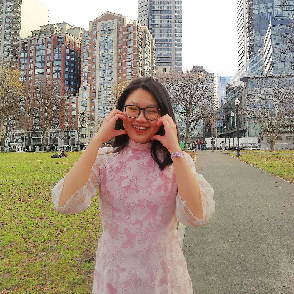 Viet Tech Mentorship Program