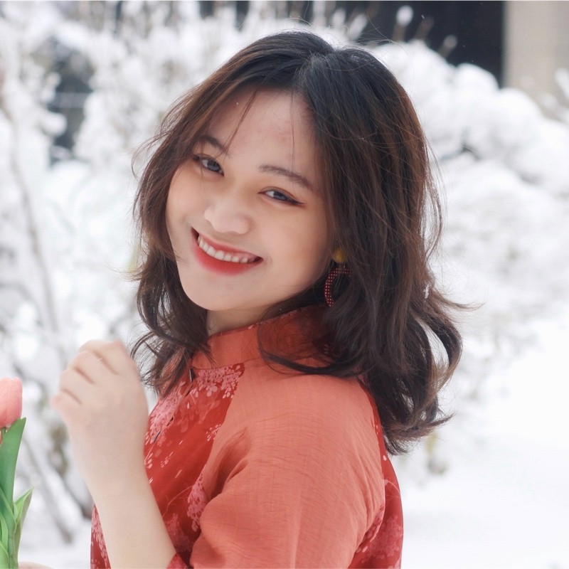 Viet Tech Mentorship Program