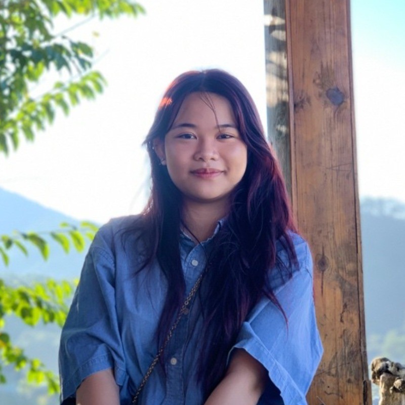 Viet Tech Mentorship Program