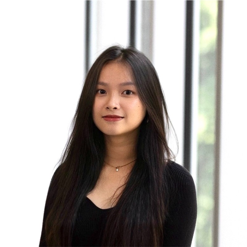 Viet Tech Mentorship Program