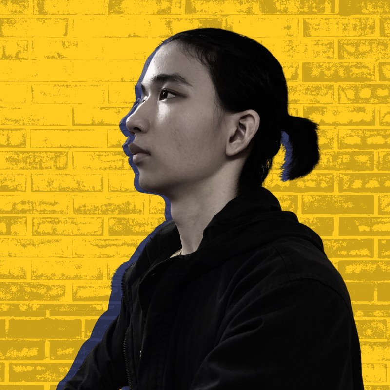 Viet Tech Mentorship Program