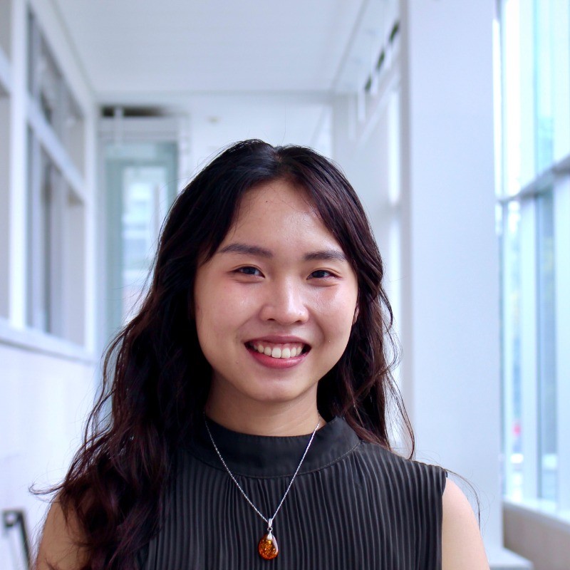 Viet Tech Mentorship Program