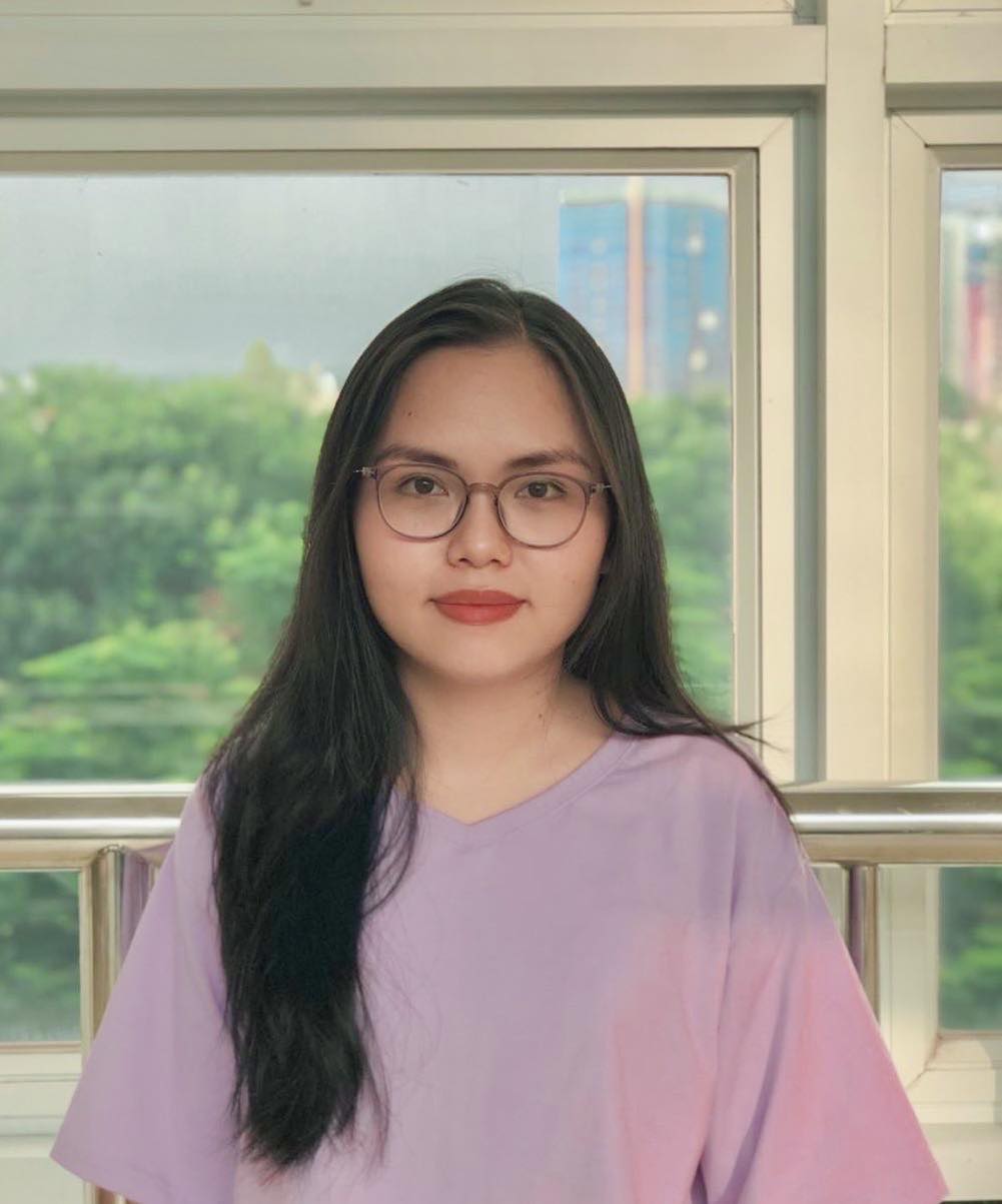 Viet Tech Mentorship Program