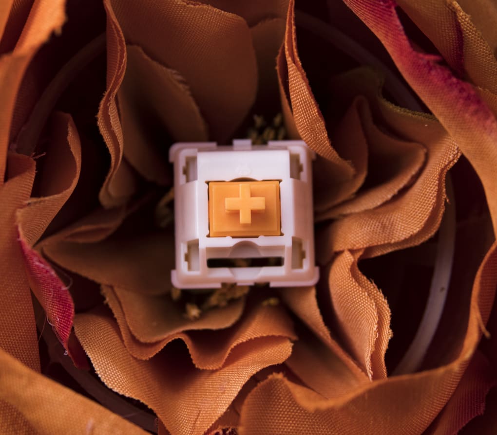 Tbcats Eclair Orange Linear Switches | Kinetic Labs