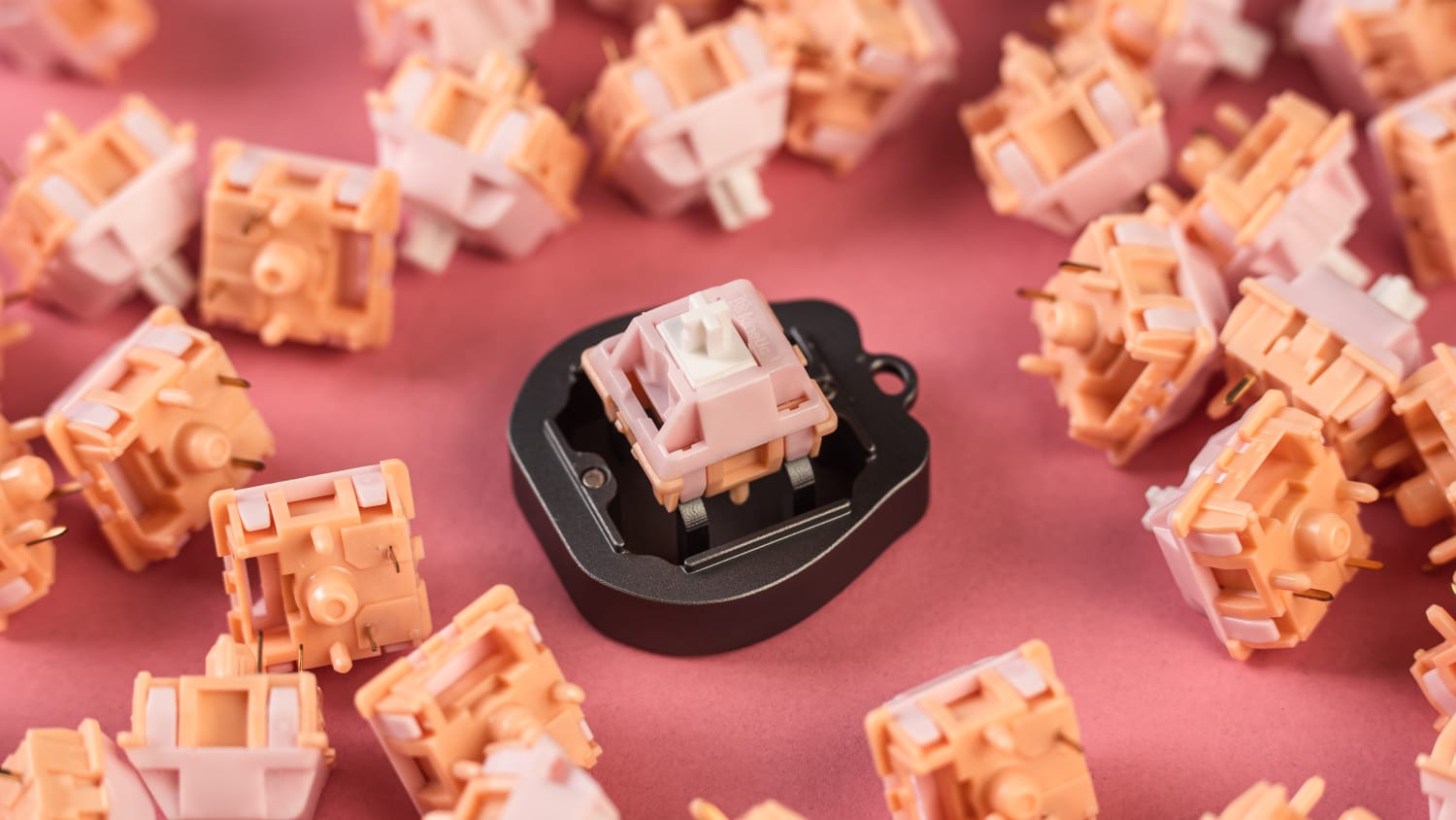 Tecsee Switches for Mechanical Keyboards | Kinetic Labs