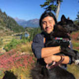 Gecko Silent Linear Switches | Kinetic Labs