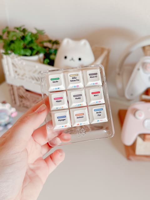 Mechanical Keyboard Switch Tester Packs | Kinetic Labs