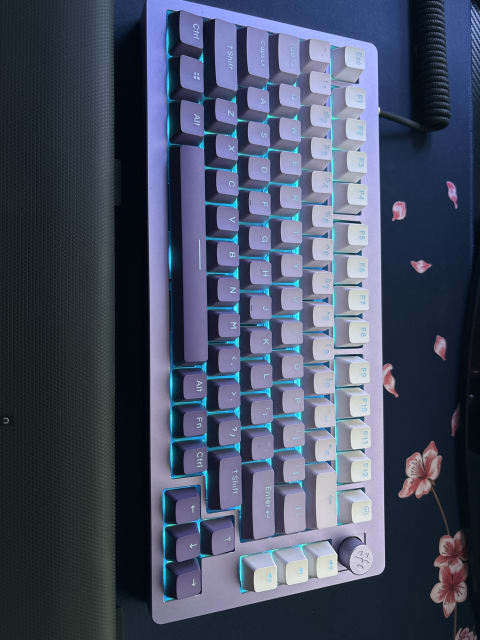 Chosfox CF81 Pro Wireless Mechanical Keyboard | Kinetic Labs