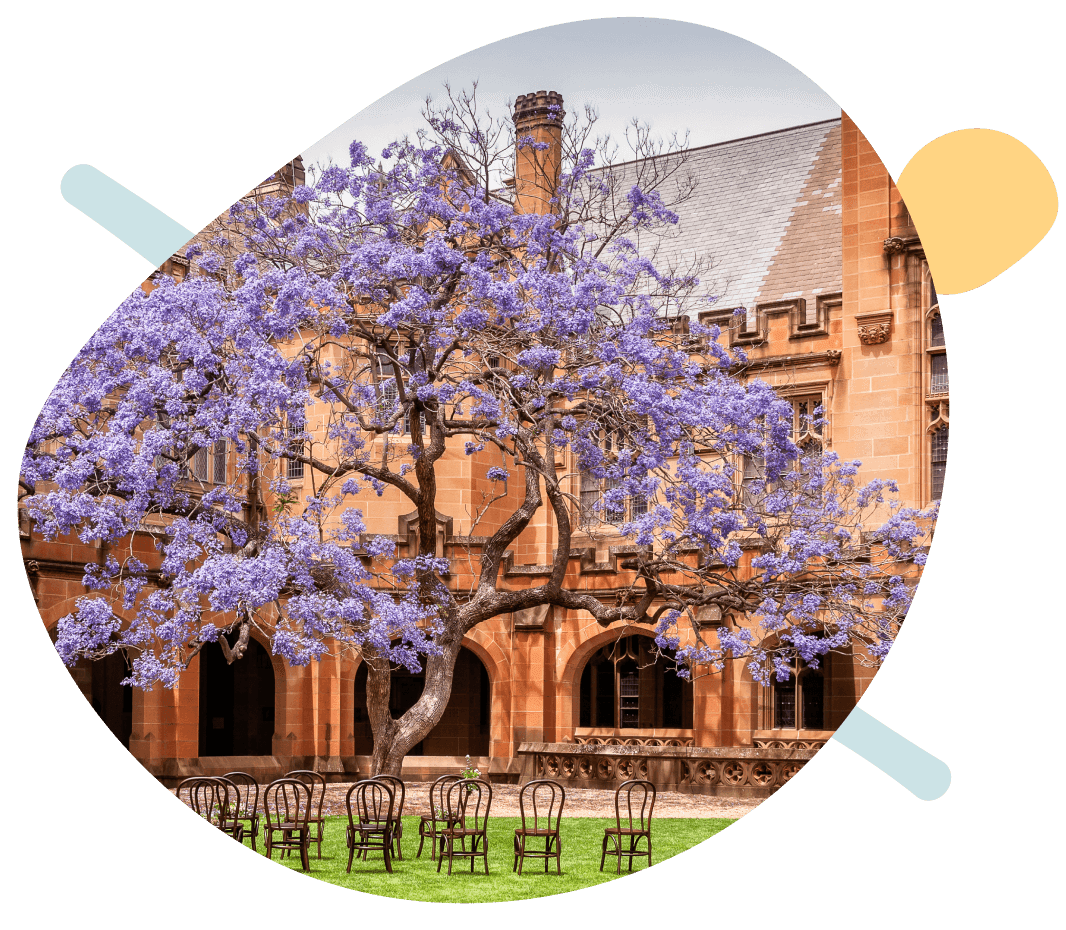 Not all intelligence is artificial | Kintell