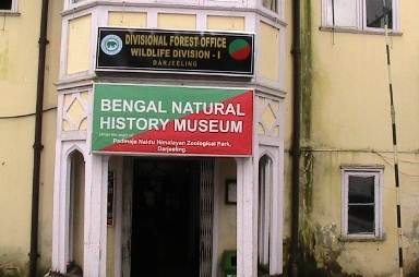 Darjeeling_Bengal_Natural_History_Museum_1618474747139.jpg