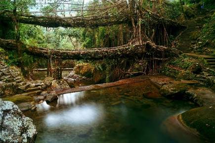 mawsynram: How To Reach,Location,Best Time, Entry Fee