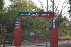 Chilla Wildlife Sanctuary, Haridwar | Photos, Timings, Entry Fees