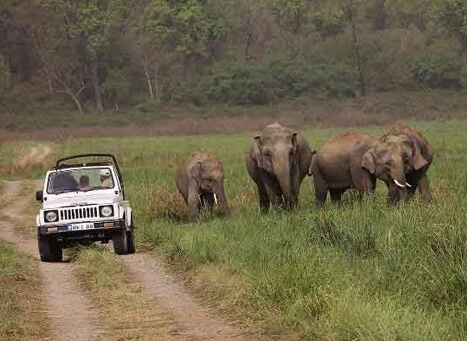dhikala-zone: How To Reach,Location,Best Time, Entry Fee