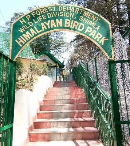 Himalayan Bird Park, Shimla | Timings, Entry Fee