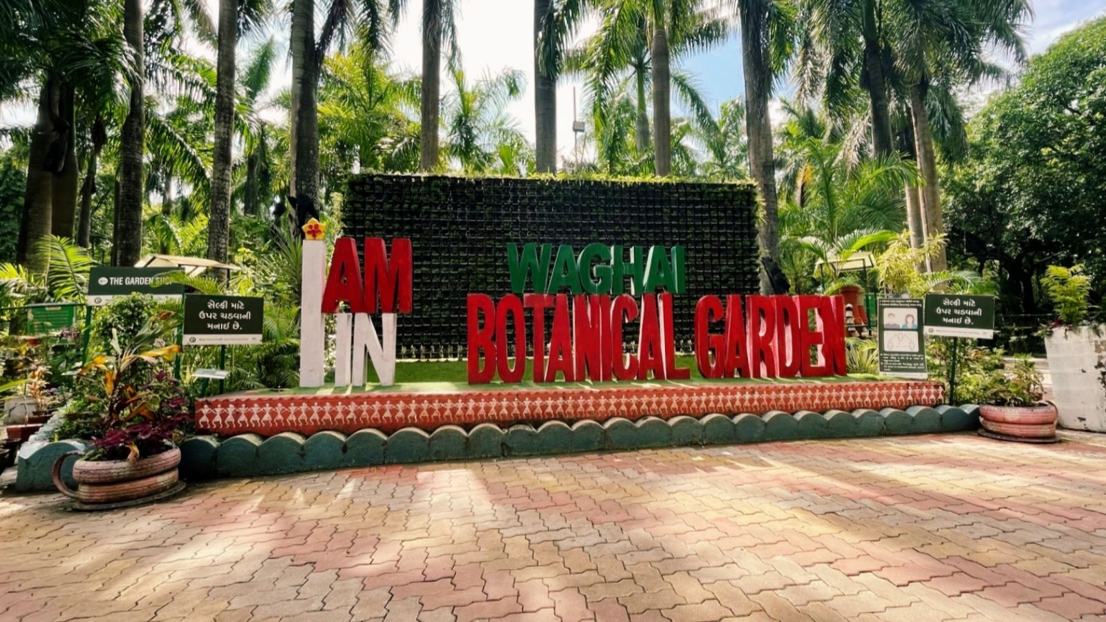 Waghai Botanical Garden, Saputara | Timing, Entry Fees, Distance