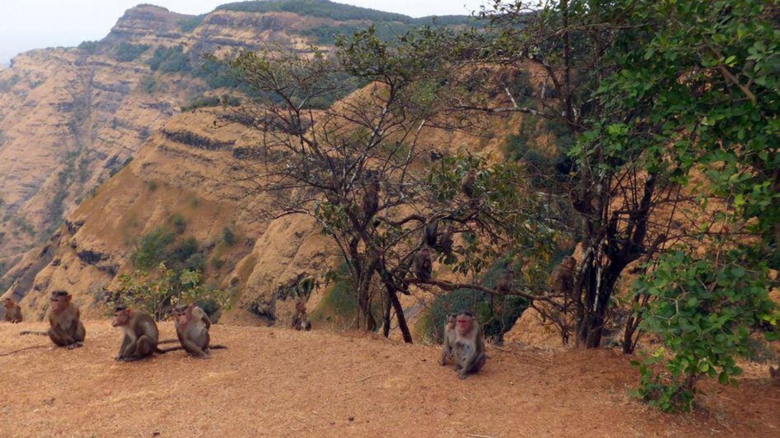 Monkey Point Matheran | Timing, Distance, How to Reach