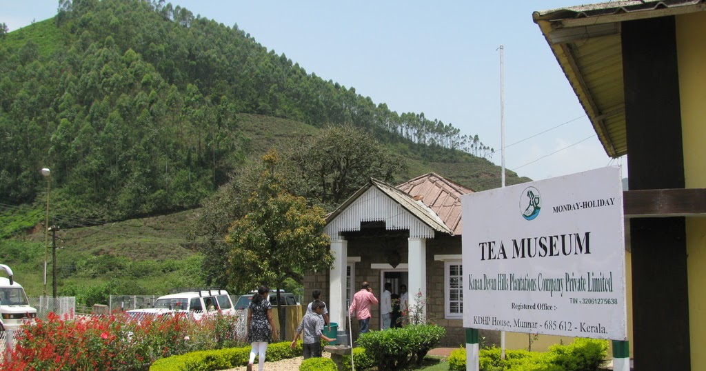 KDHP Tea Museum, TATA Tea Museum, Tata Tea Estate and Factory Munnar
