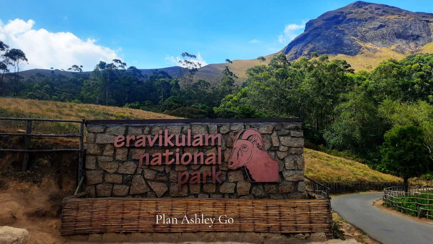 Eravikulam National Park, Animals, Photos, Munnar, Kerala