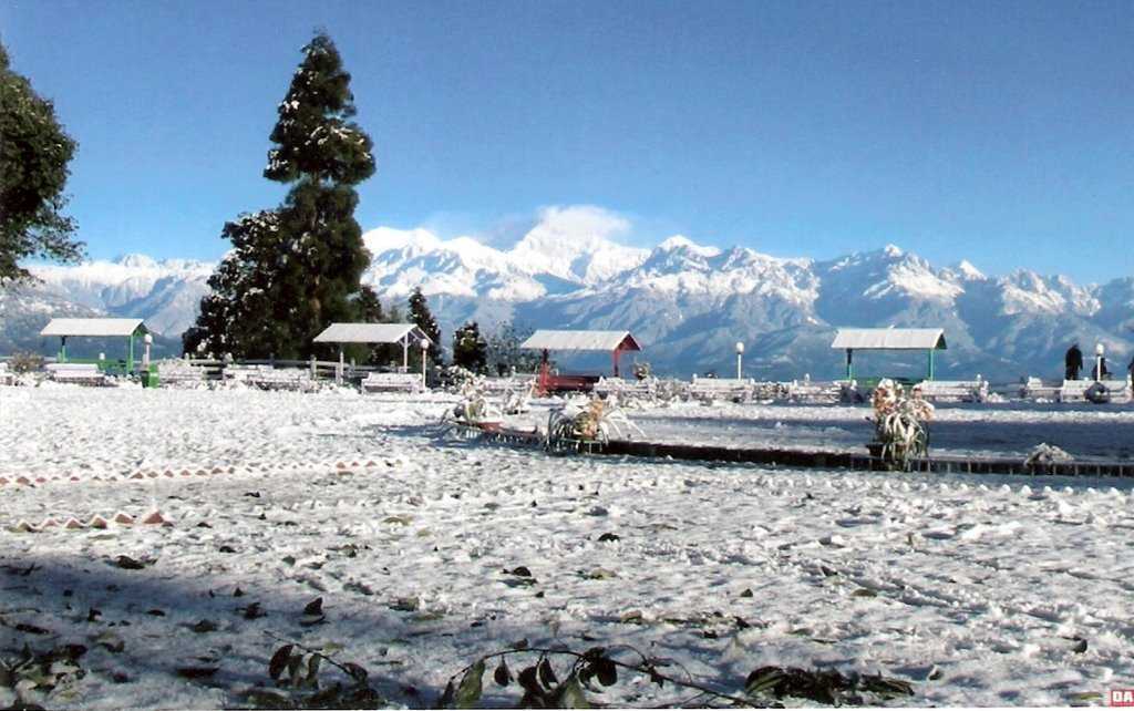 Shrubbery Nightingale Park | Darjeeling to Nightingale Park Distance