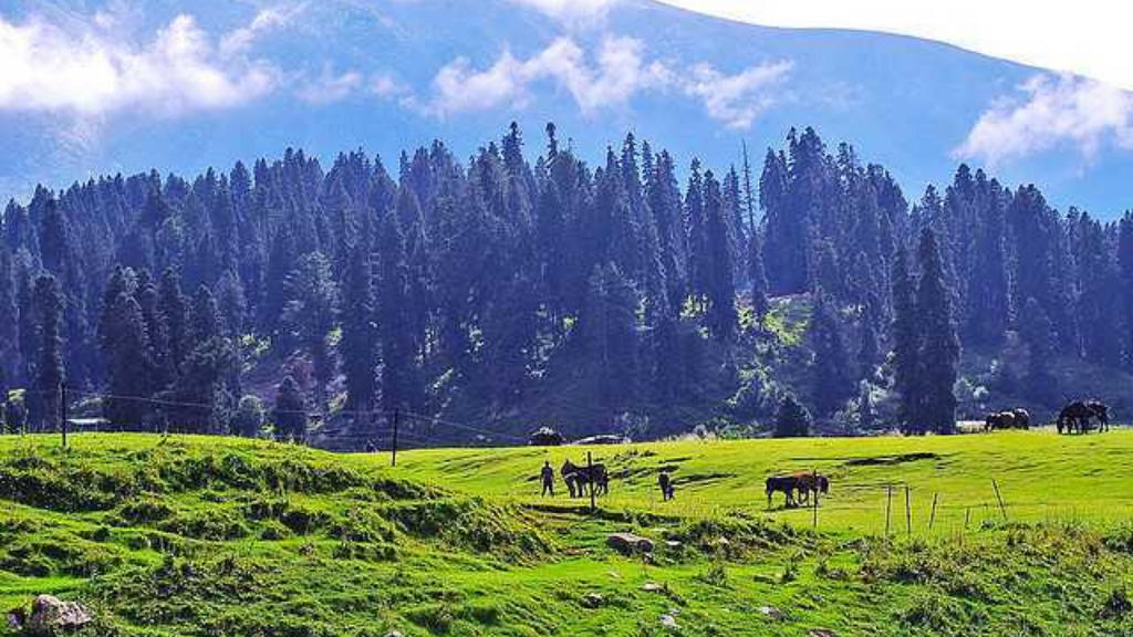 Seven Springs, Gulmarg: Must Visit Destination