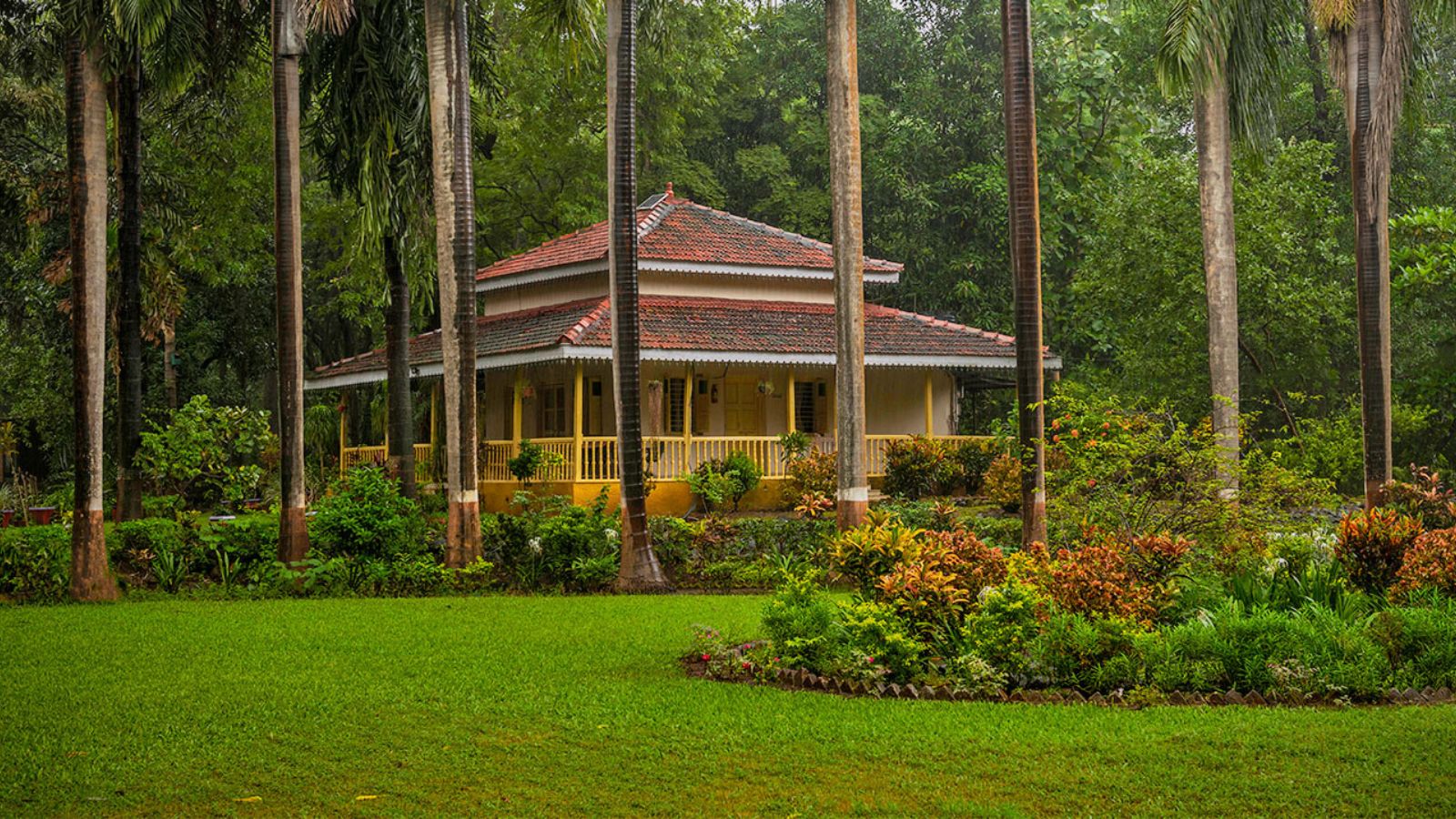 Sayaji Baug Zoo, Must Visit Place in Vadodara