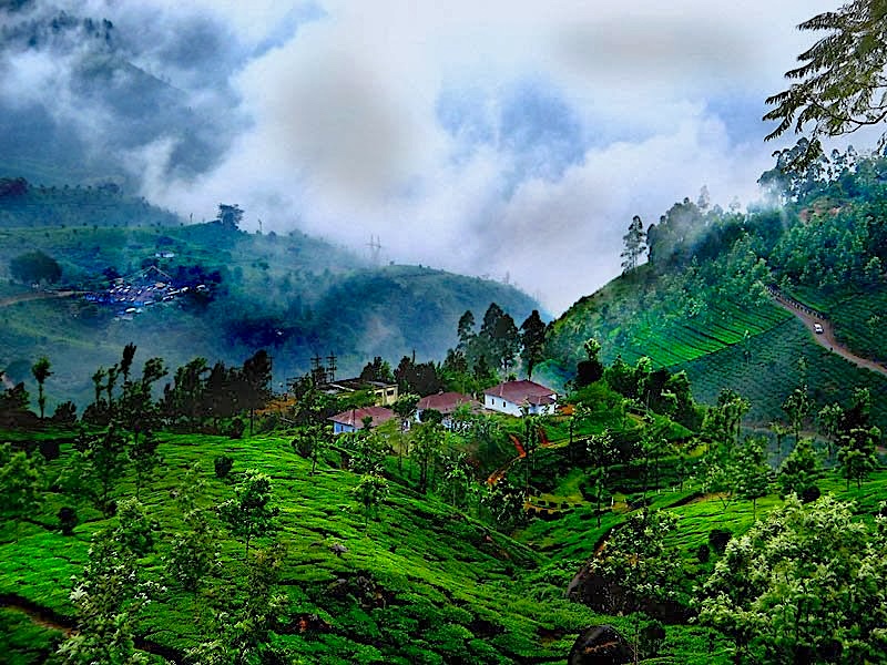 Coorg Tour Package for 3 Days | Scenic Coorg Holiday Packages