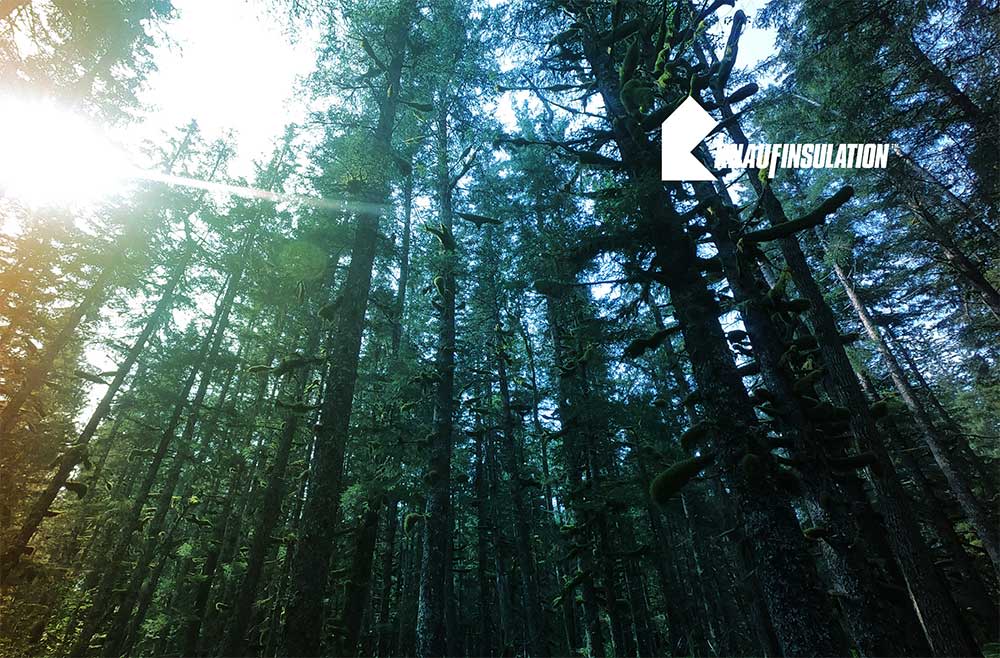 Alaska Homes Use Jet Stream ULTRA by Knauf Insulation