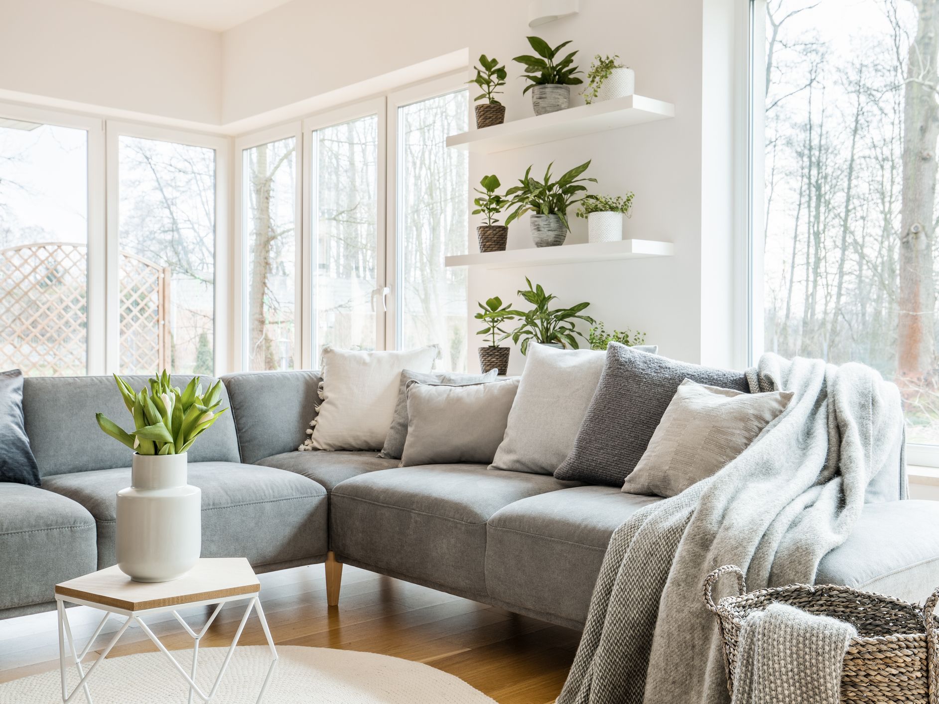 Create an Allergy-Friendly Home, Room by Room