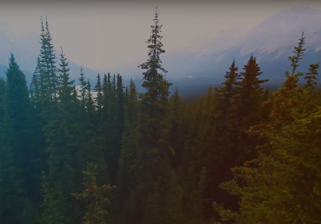 Performance+® Rigid Plenum Liner | Knauf Insulation