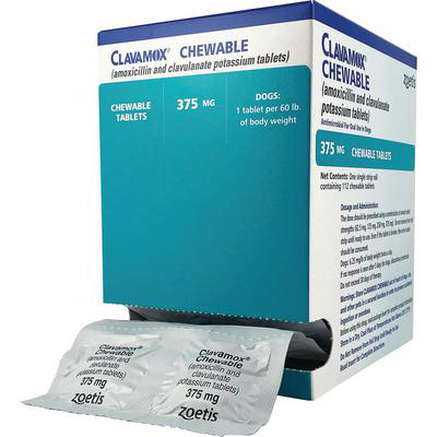 Clavamox Koala Health