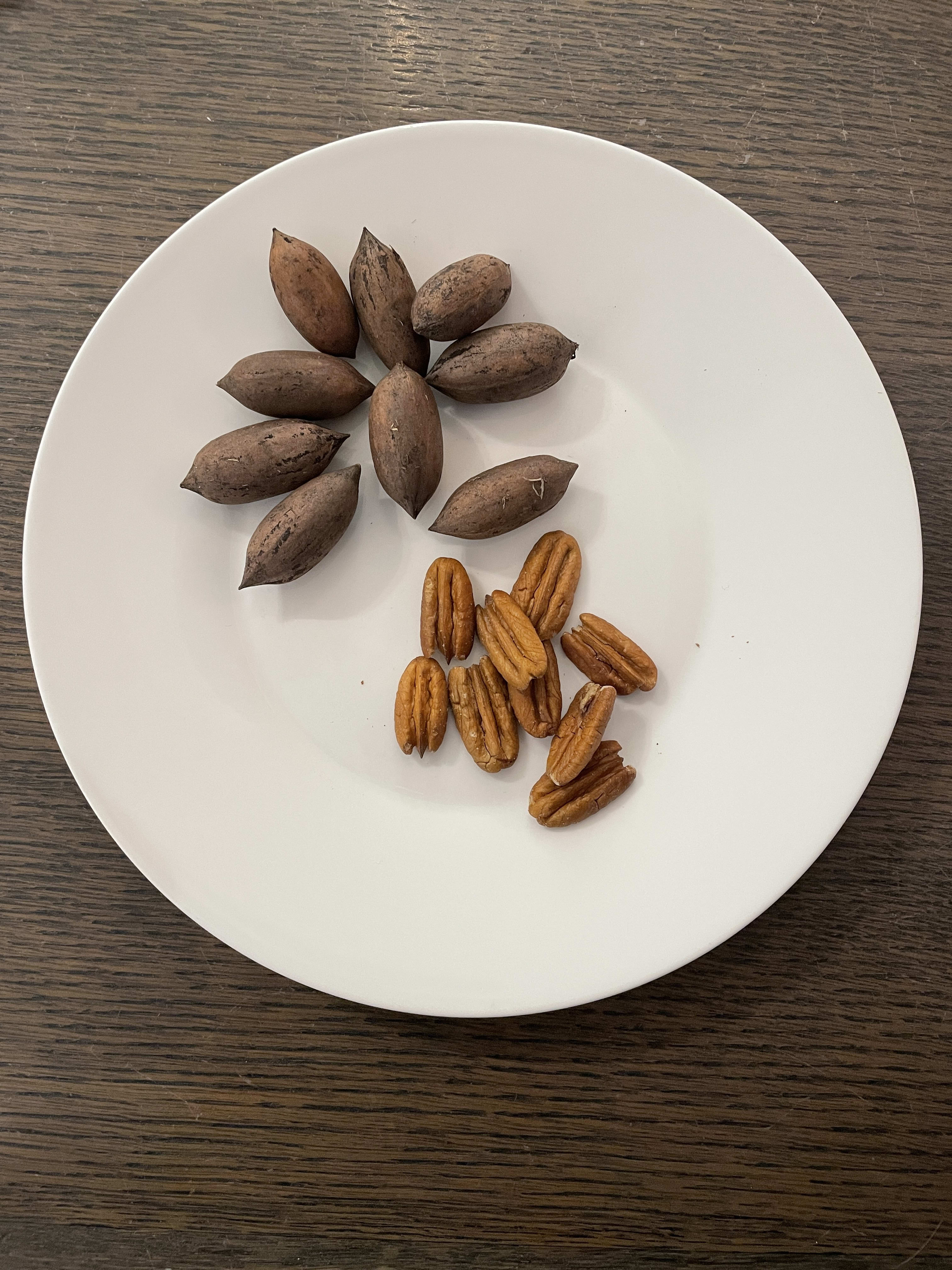 Health benefits of Pecans | Article - Kootingal Pecan company