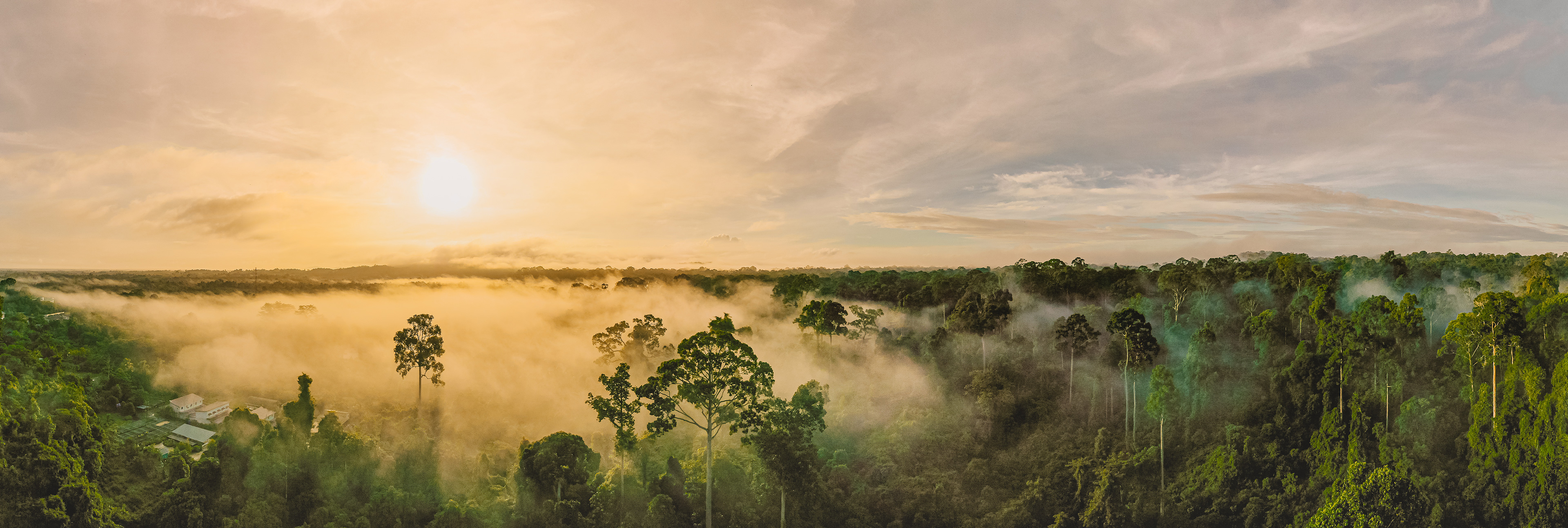 Kalimantan und Co. Reisen vom Spezialisten | Ihr Indonesien Spezialist Kalimantan und Co. Reisen vom Spezialisten | Ihr Indonesien Spezialist
