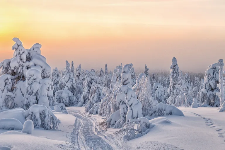 Iso-Syöte - Reisen vom Spezialisten