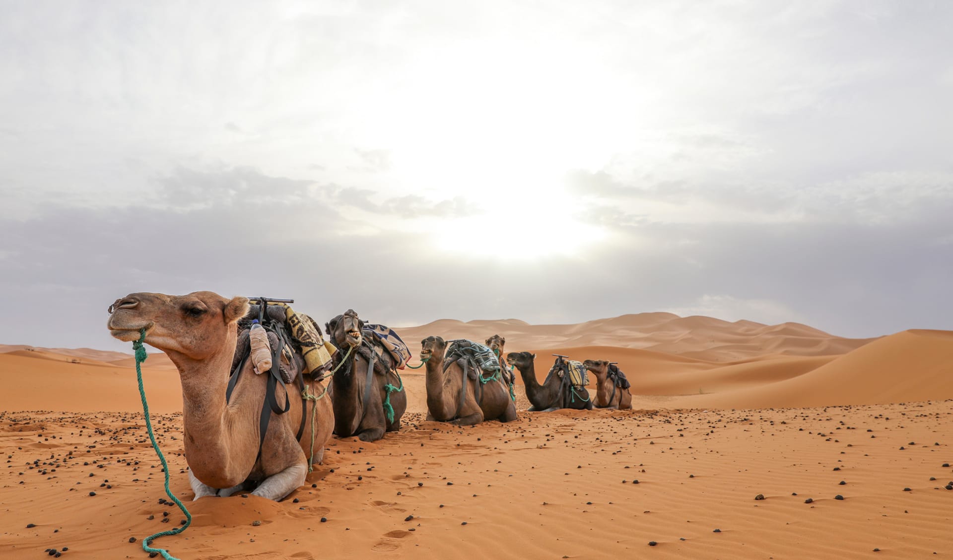 Marokko Wüsten Reisen vom Spezialisten | Ihr Marokko Spezialist