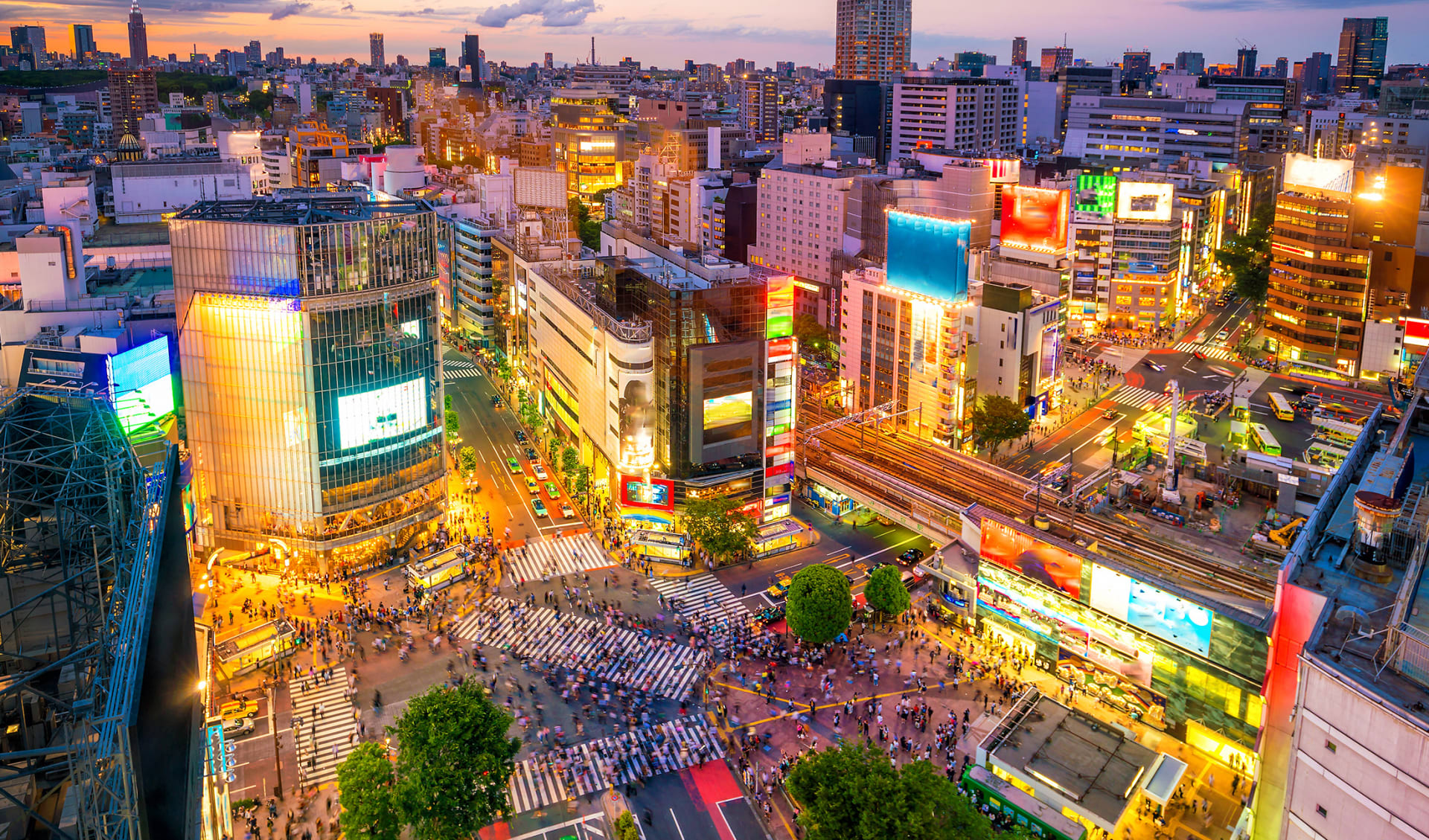 Japans-Metropolen vom Spezialisten | Ihr Japan Spezialist