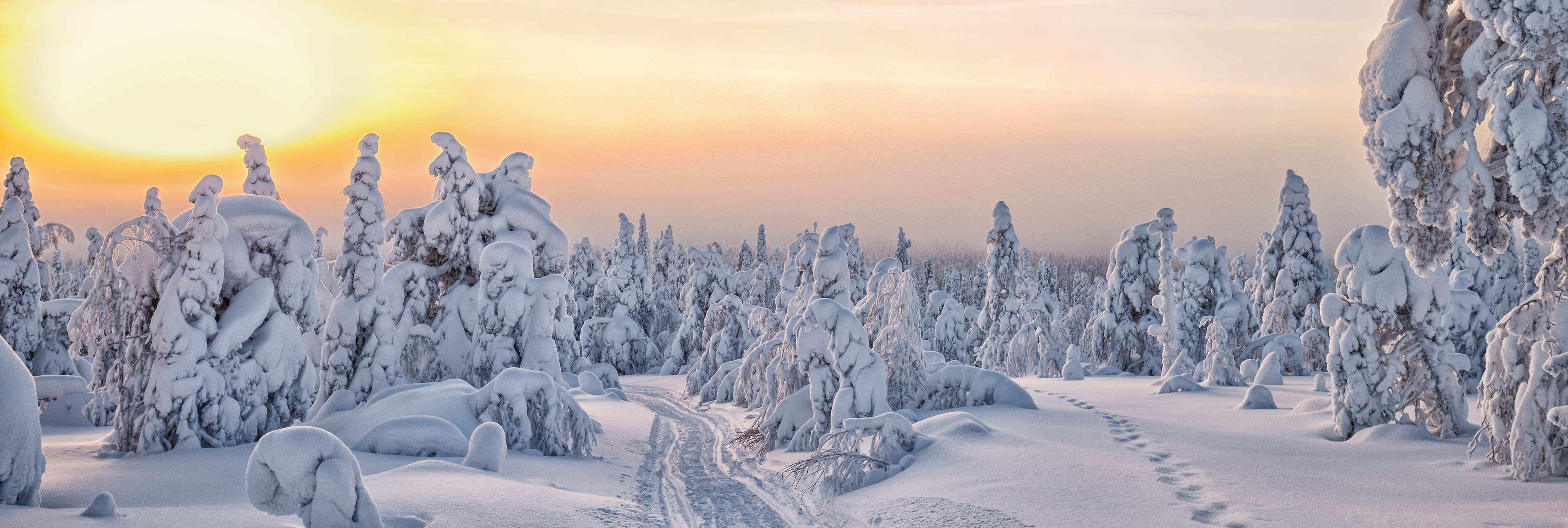 Iso-Syöte - Reisen vom Spezialisten