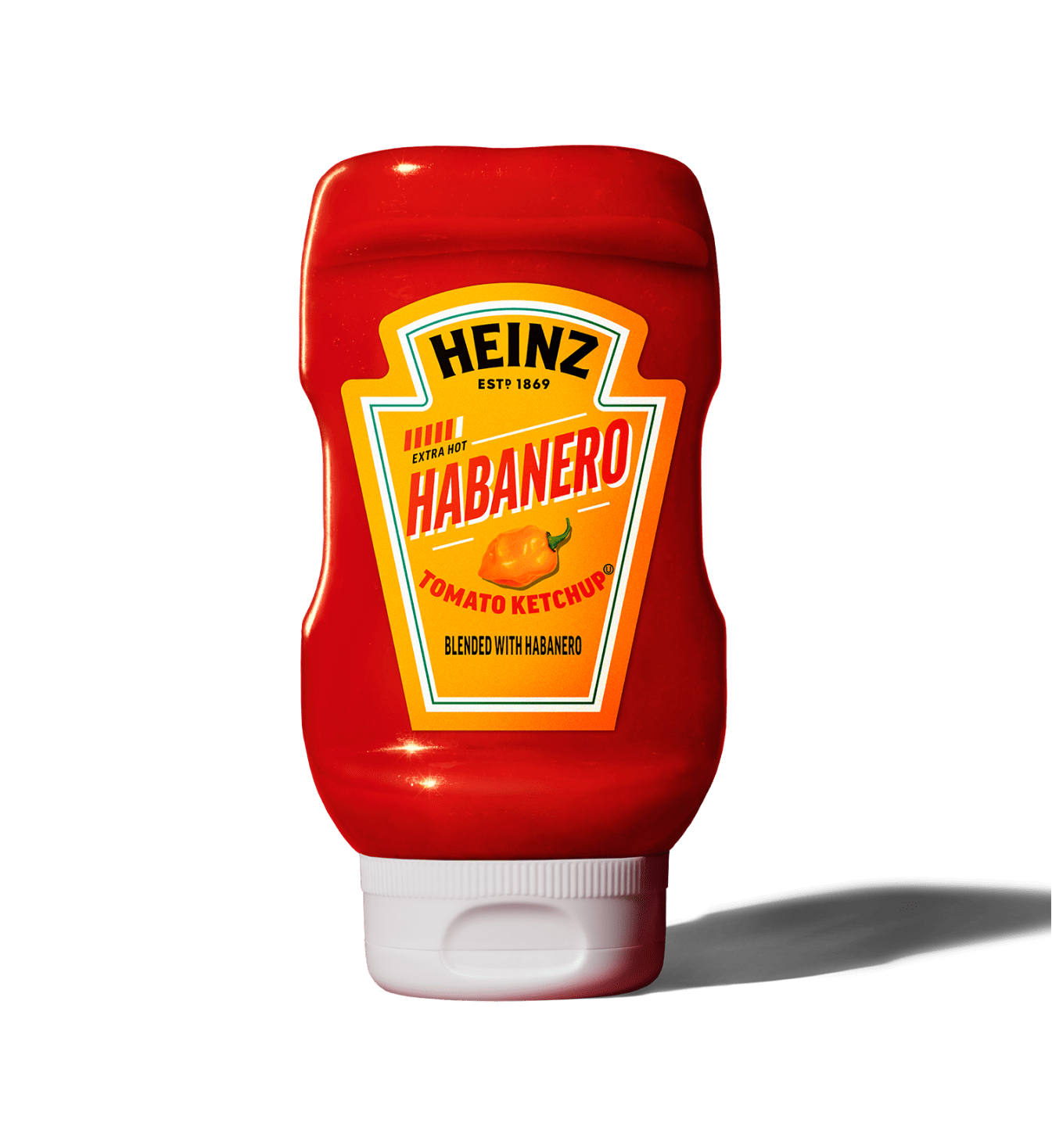 Heinz Spicy Ketchup