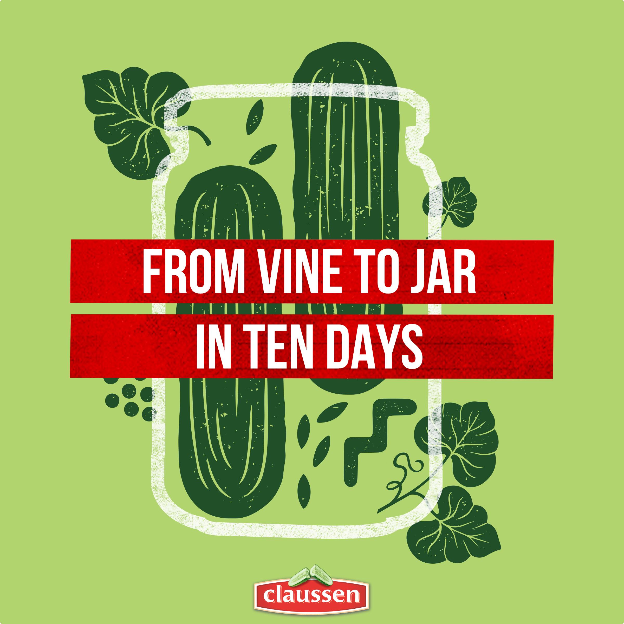 Hearty Garlic Deli-Style Pickle Wholes | Claussen | Products - Heinz®