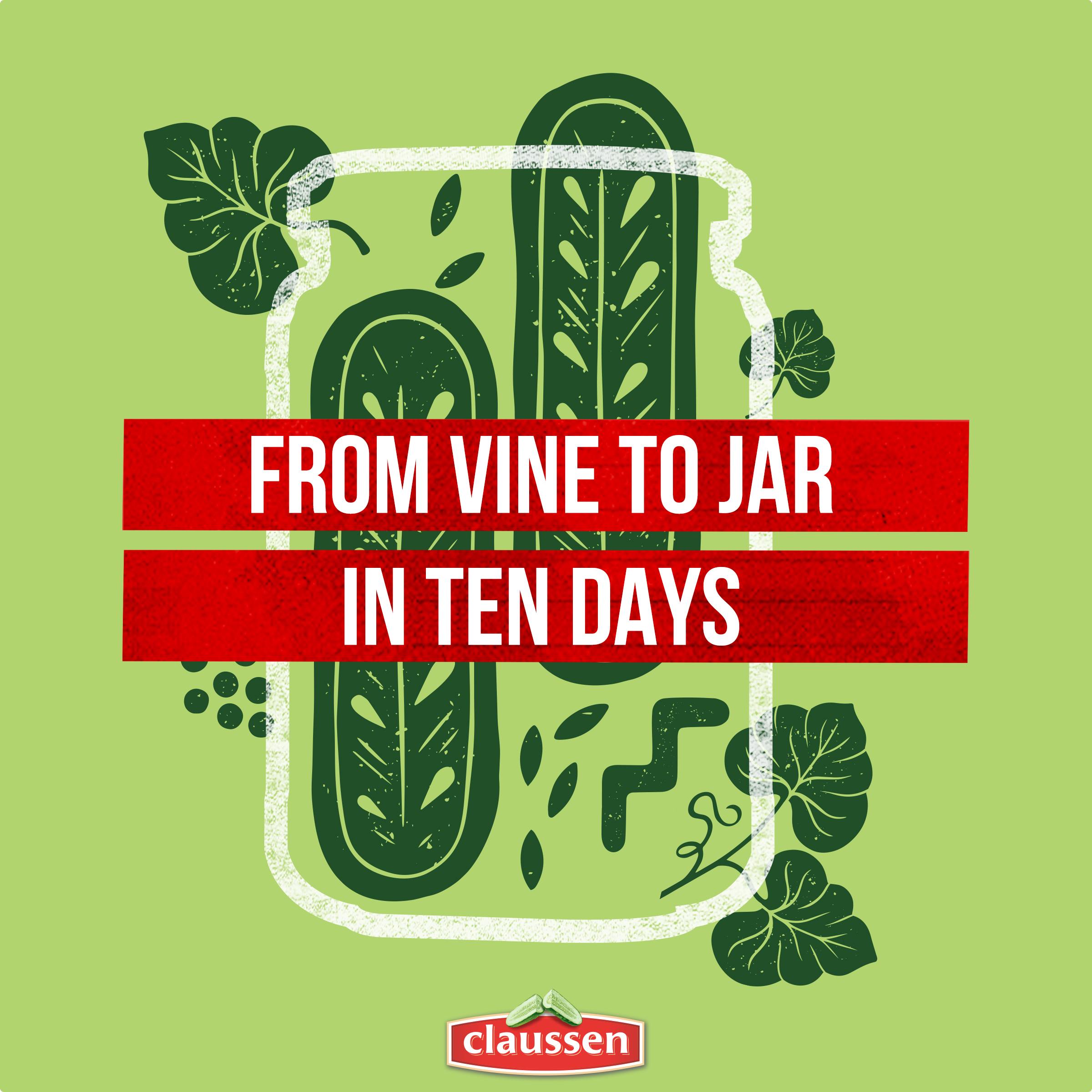 Kosher Dill Deli-Style Pickle Halves | Claussen | Products - Heinz®