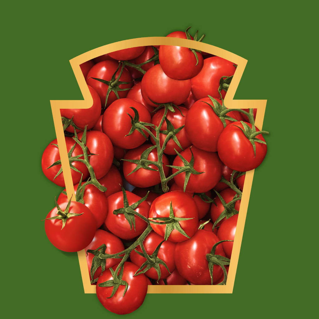 Heinz Official Site - Heinz® India | Heinz