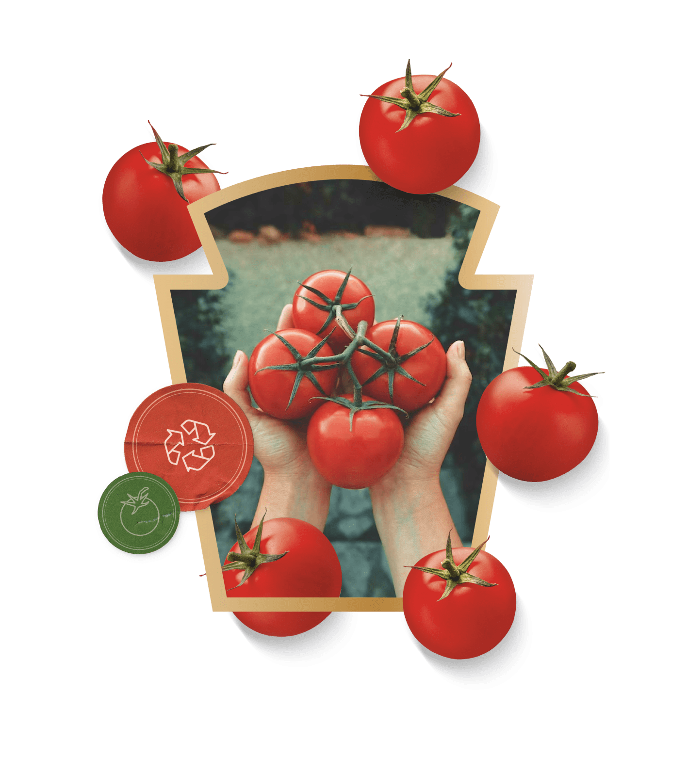 Sustainability - Heinz® | Heinz