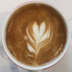 100 Lattes - Karl Swedberg