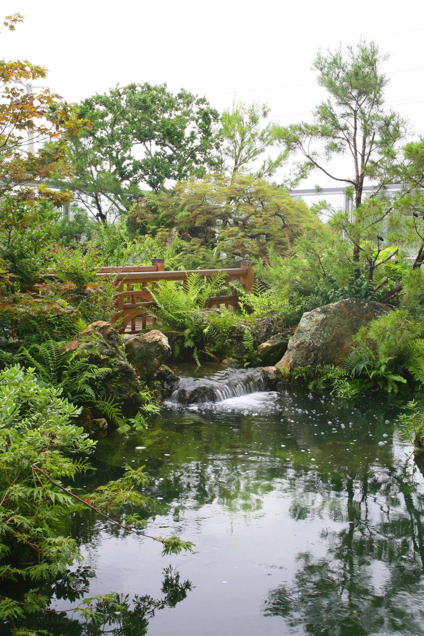 Harn Museum, University of Florida | Kurisu International