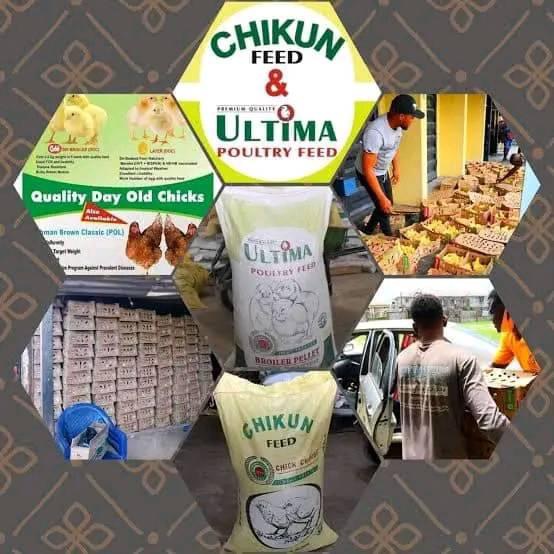 Poultry Feeds | Free Online Marketplace to Buy & Sell in Nigeria
