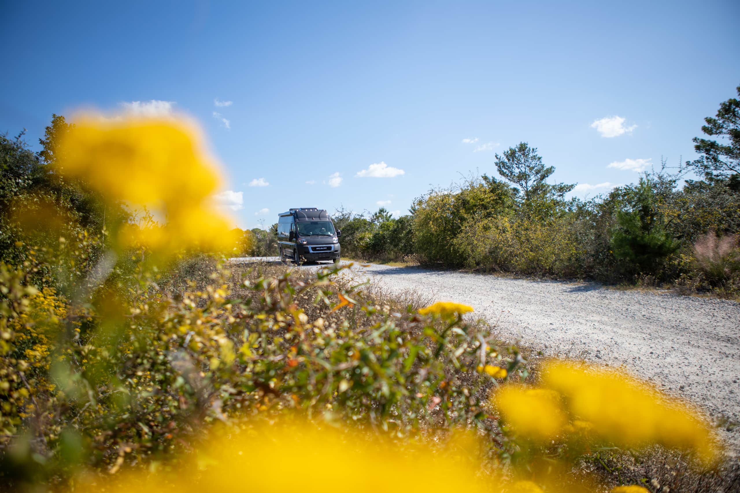 The Best RV Shows in December 2022 – La Mesa Blog